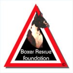 Boxer Rescue LA – Spirits That Soar. Hearts That Adore.